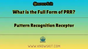 What Is The Full Form Of PMC?