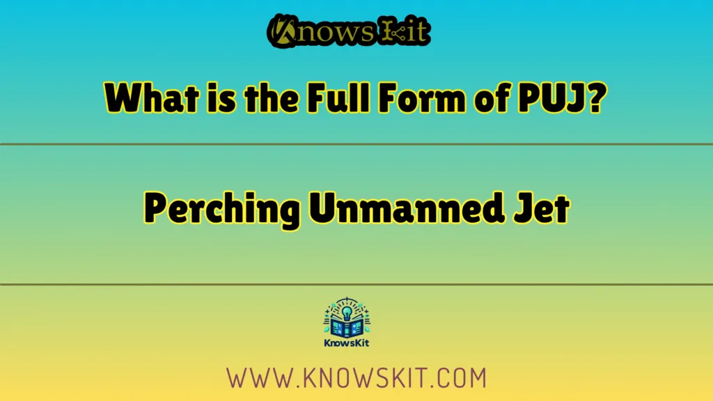 What Is The Full Form Of PUJ
