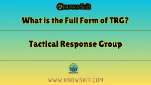 What Is The Full Form Of PMC?