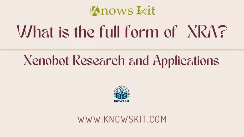 What Is The Full Form Of DFO?