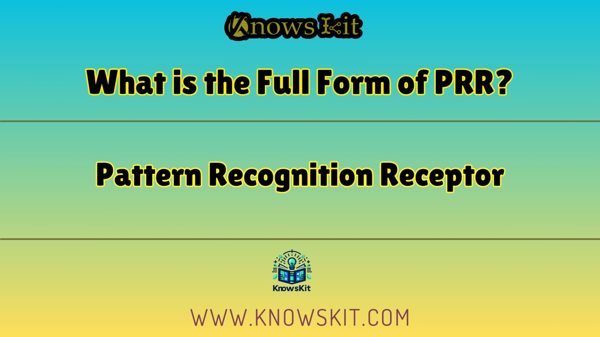 What Is The Full Form Of PMC?