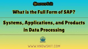 What Is The Full Form Of SAP