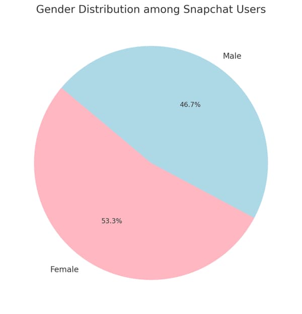 Snapchat User Demographics Evolution: Insights Into Age And Gender ...