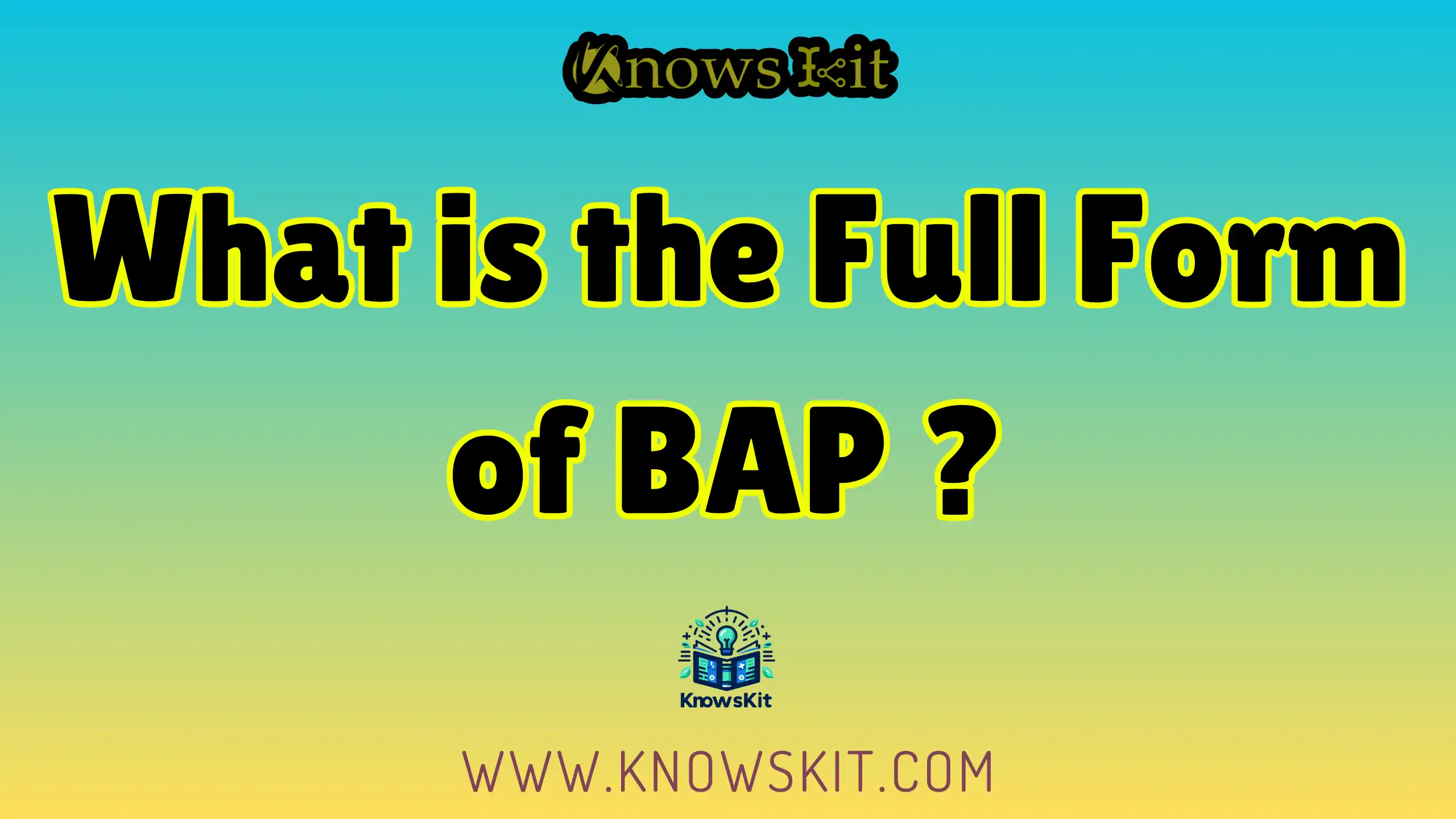 What Is The Full Form Of BAP