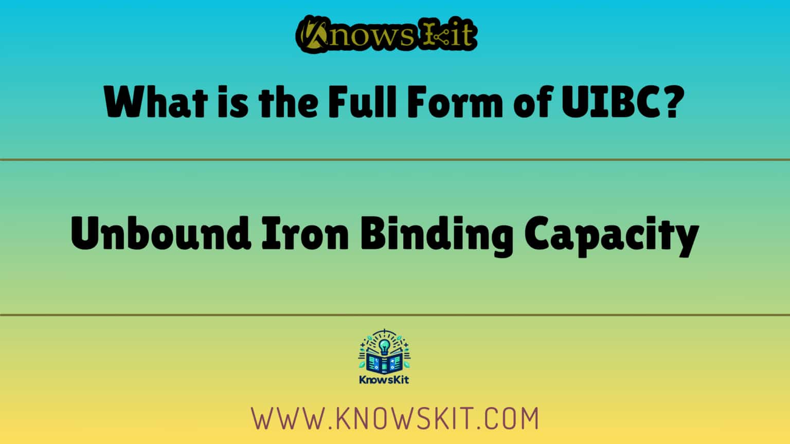 What Is The Full Form Of BDIV