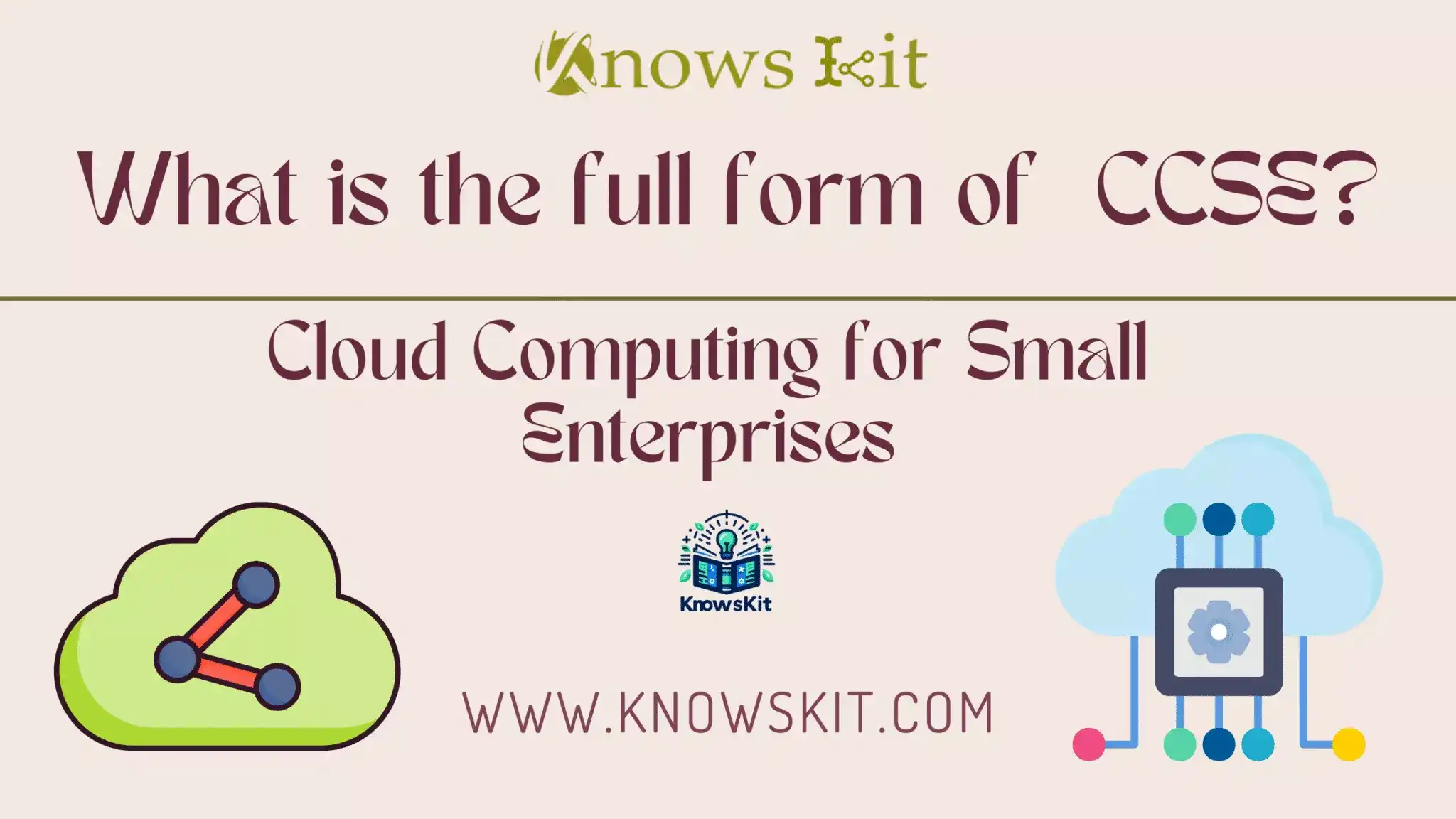 What Is The Full Form Of PSM