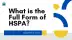 What Is The Full Form Of HSPA?