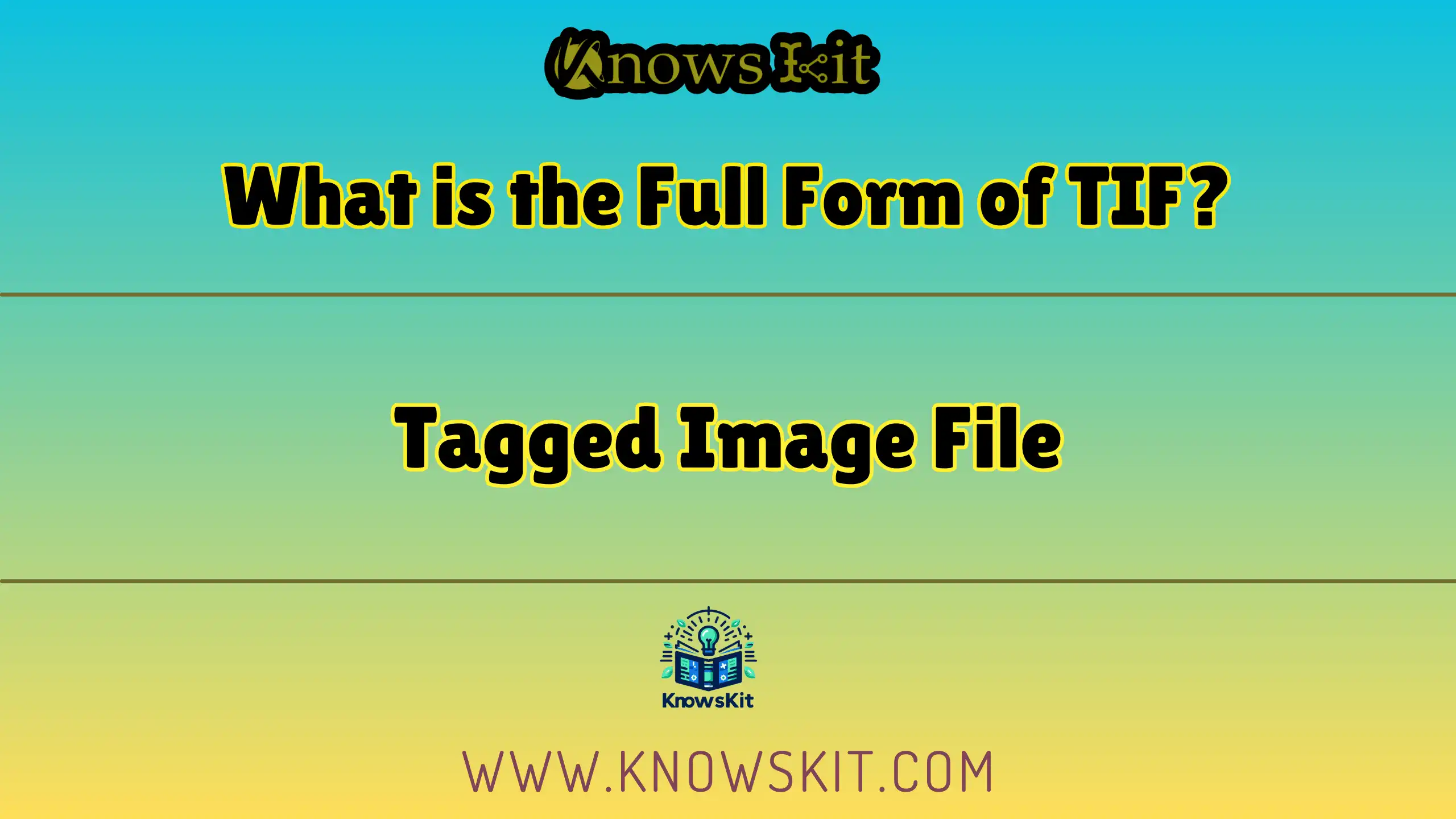 What Is The Full Form Of TIF